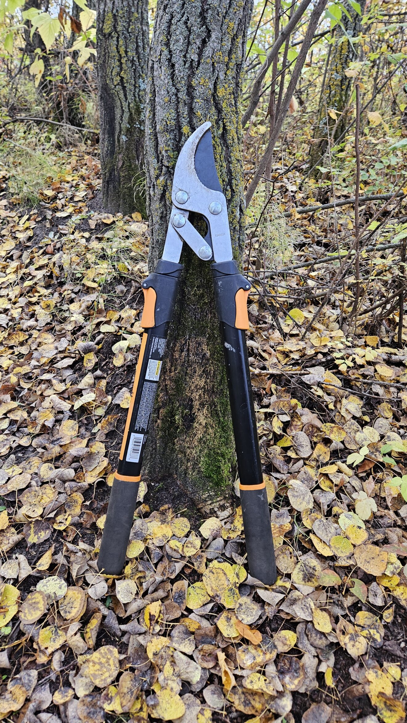 The Best Tools For Trail Building - Dusty Forks