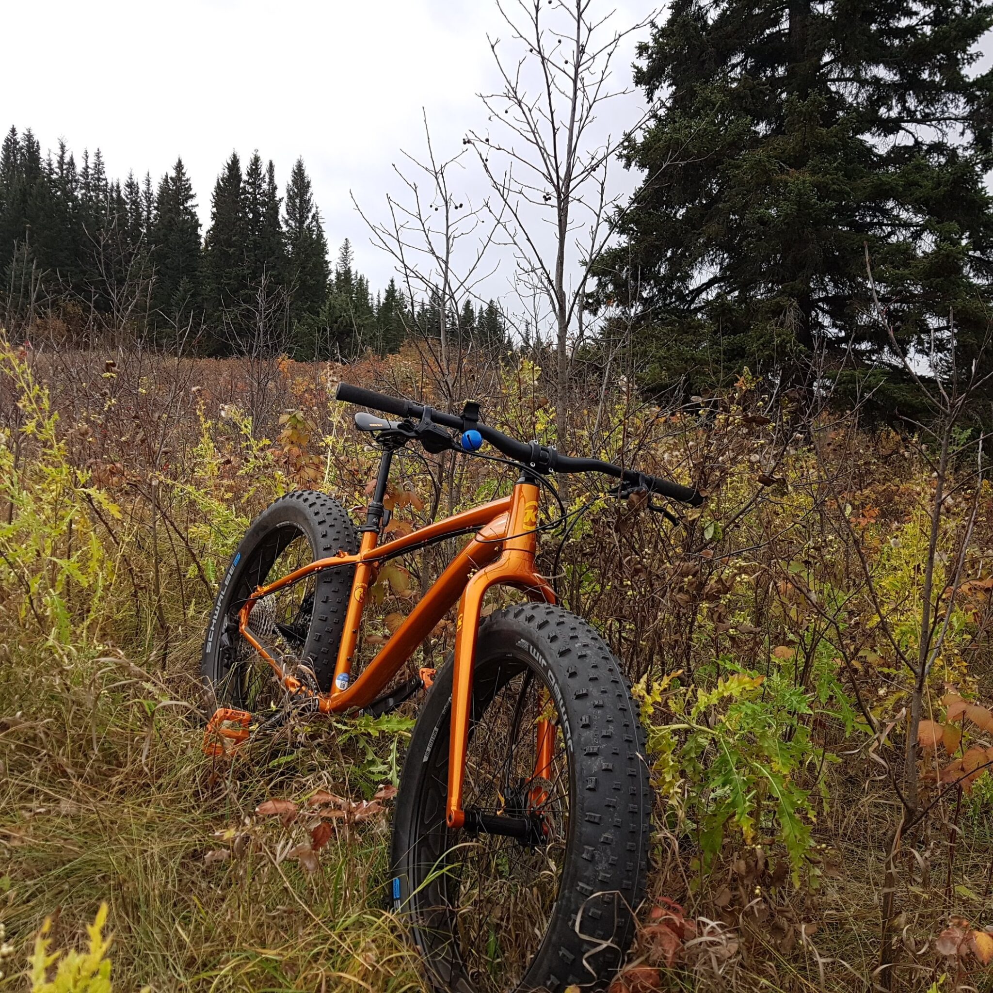 Learn To Love Riding Fatties This Winter – Dusty Forks